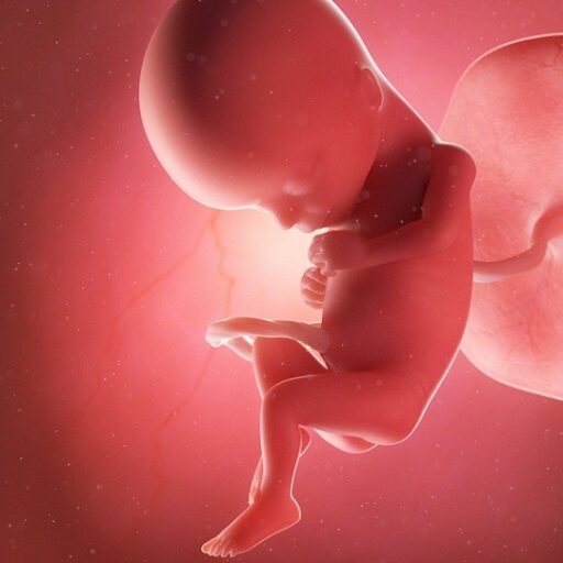 16. Schwangerschaftswoche (SSW 16): Wichtige Meilensteine